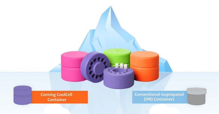 Harvesting and Cryopreservation of Cells | Cell Culture and Cryopreservation Products | Corning